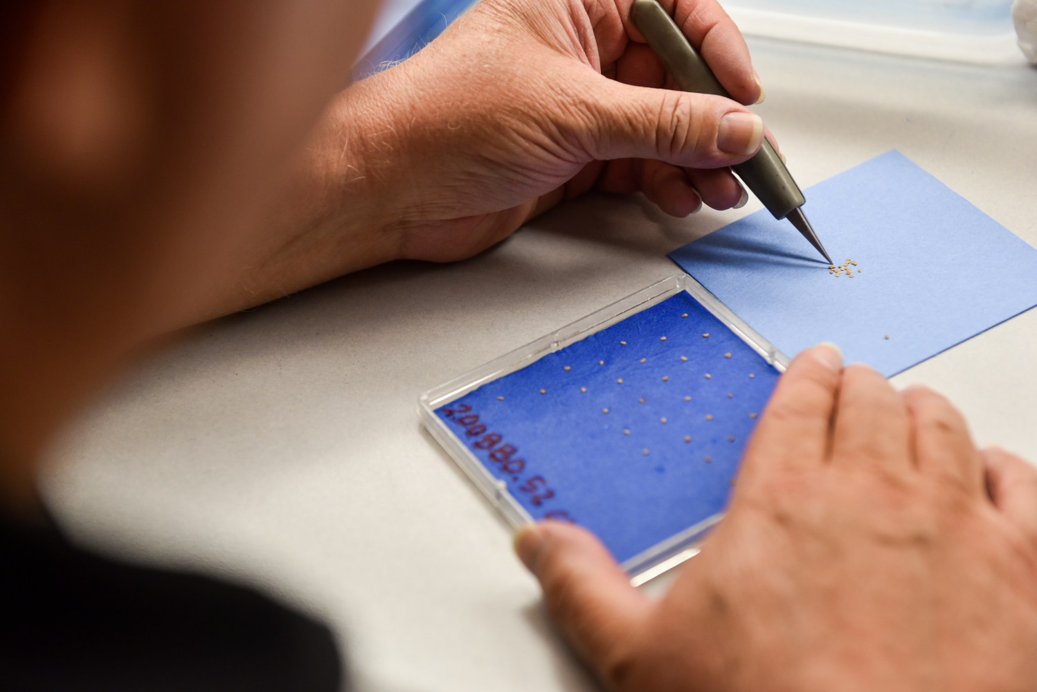 I2SL St. Louis Chapter