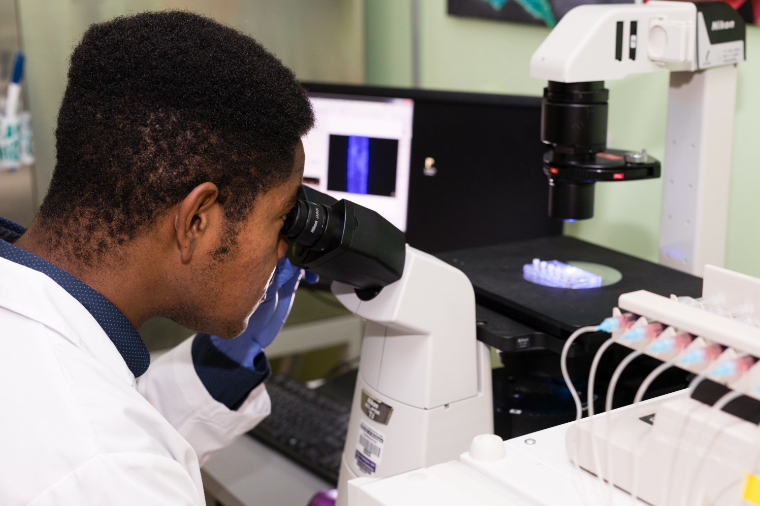 I2SL St. Louis Chapter