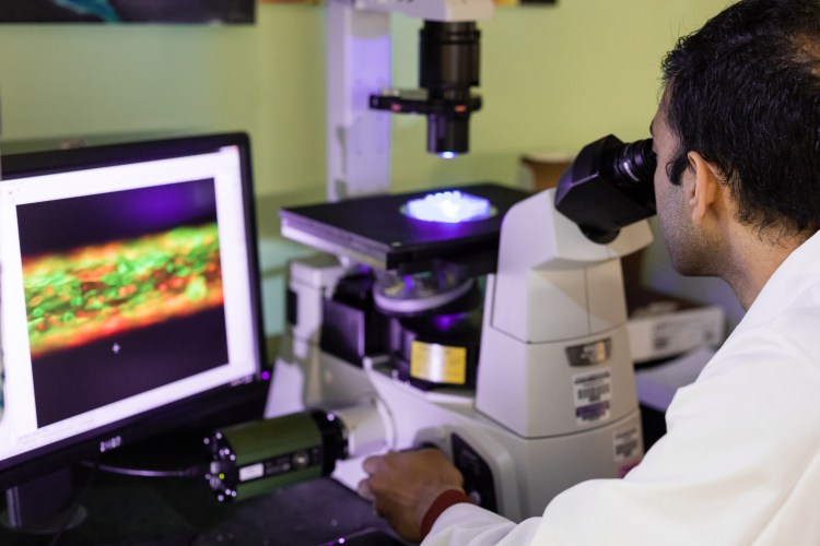 I2SL St. Louis Chapter